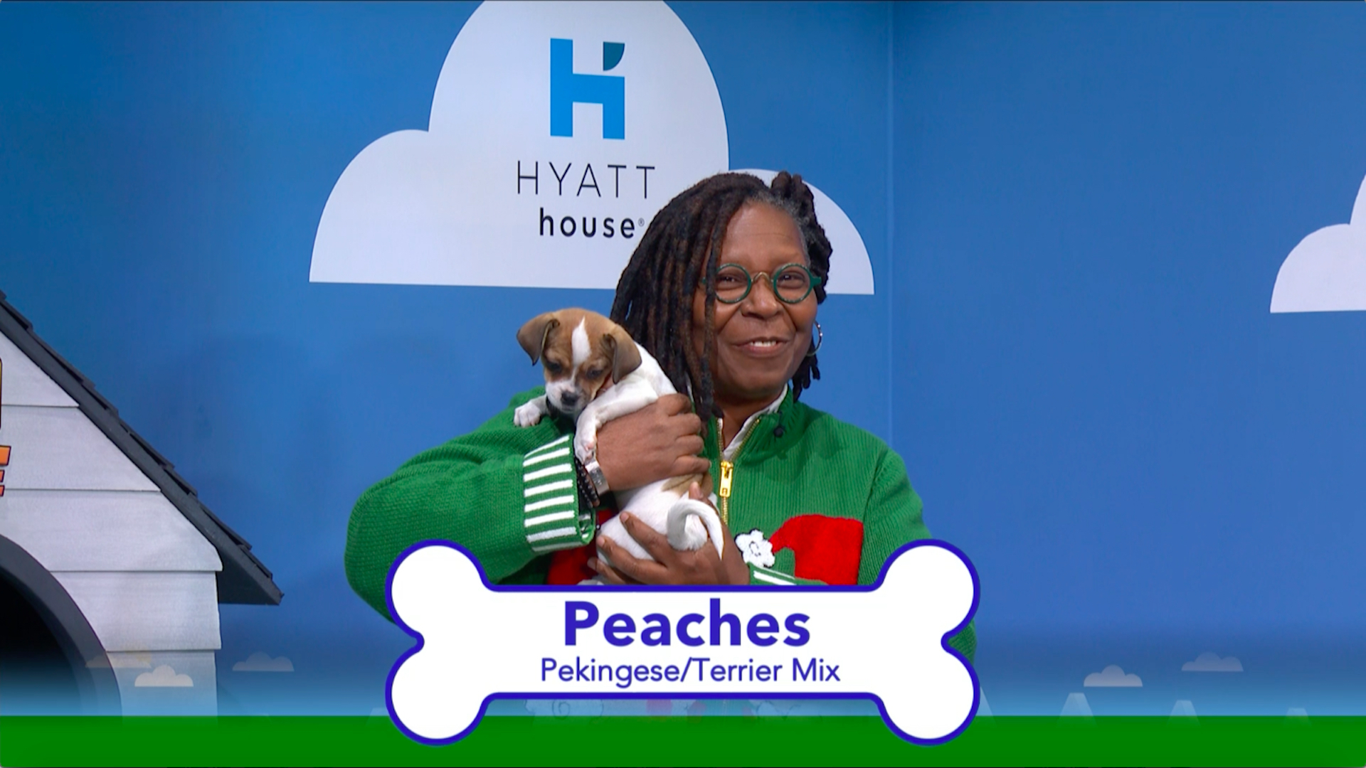 Whoopi Goldberg And Stephen Colbert Have The Perfect Holiday Gift—Puppies!