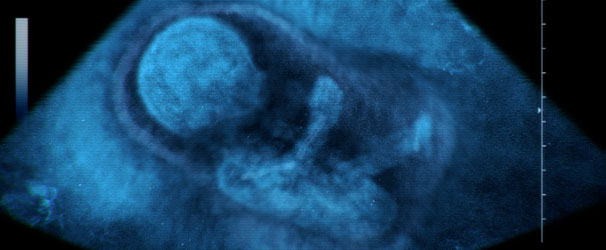 Extant at SXSW: Fully Charged Extant Phone Chargers