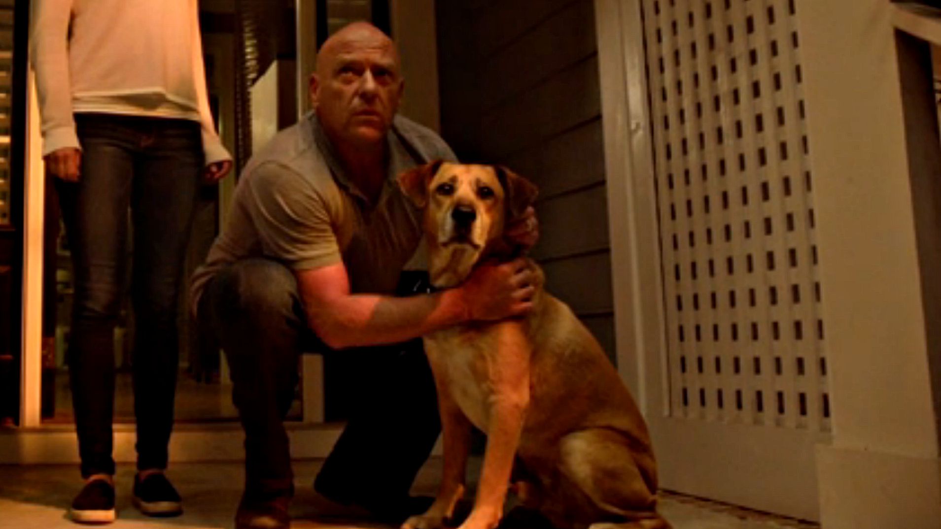 How A Rescue Dog Became A Hollywood Star