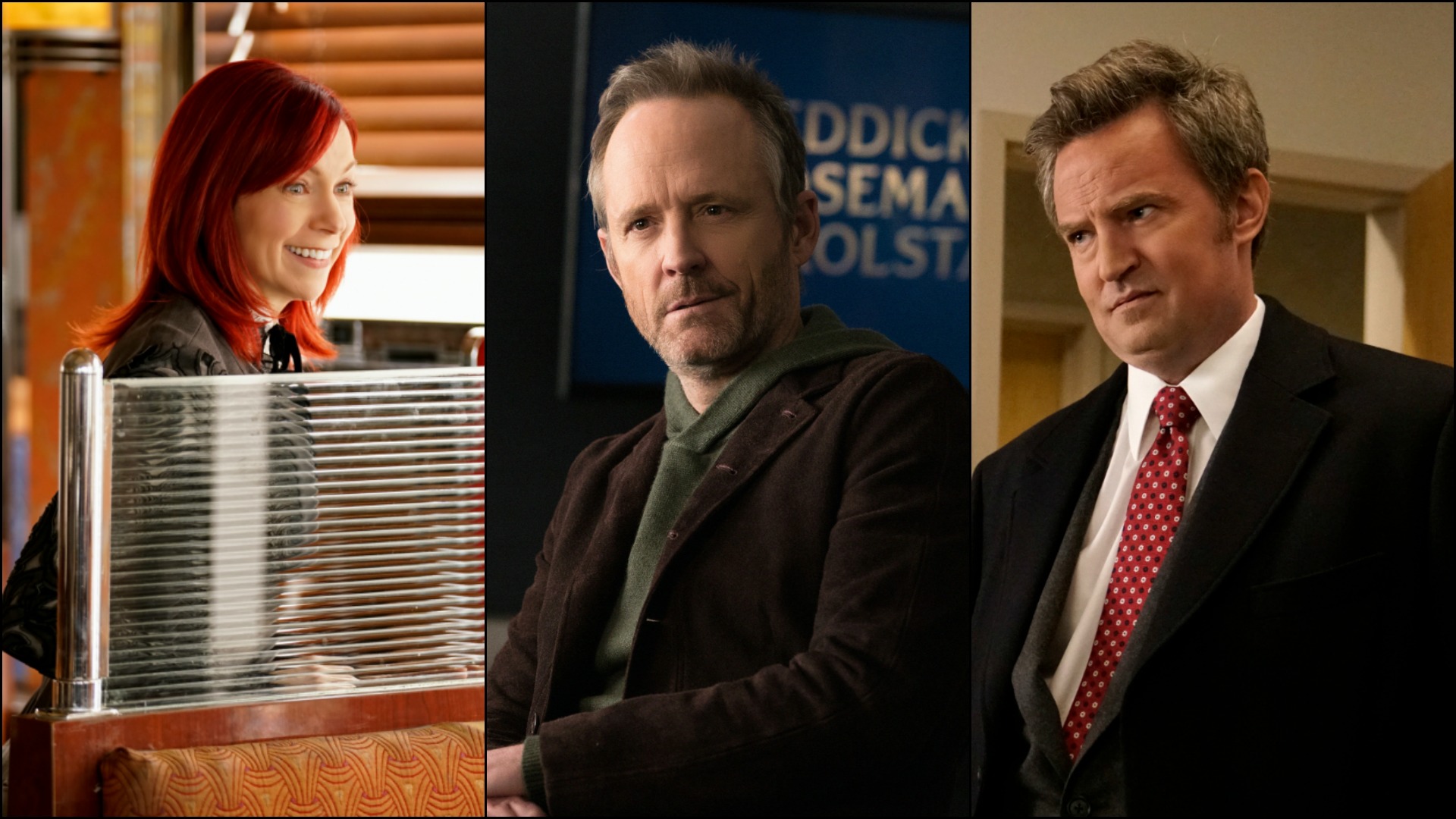 All The Amazing Guest Stars From The Good Fight's First Season