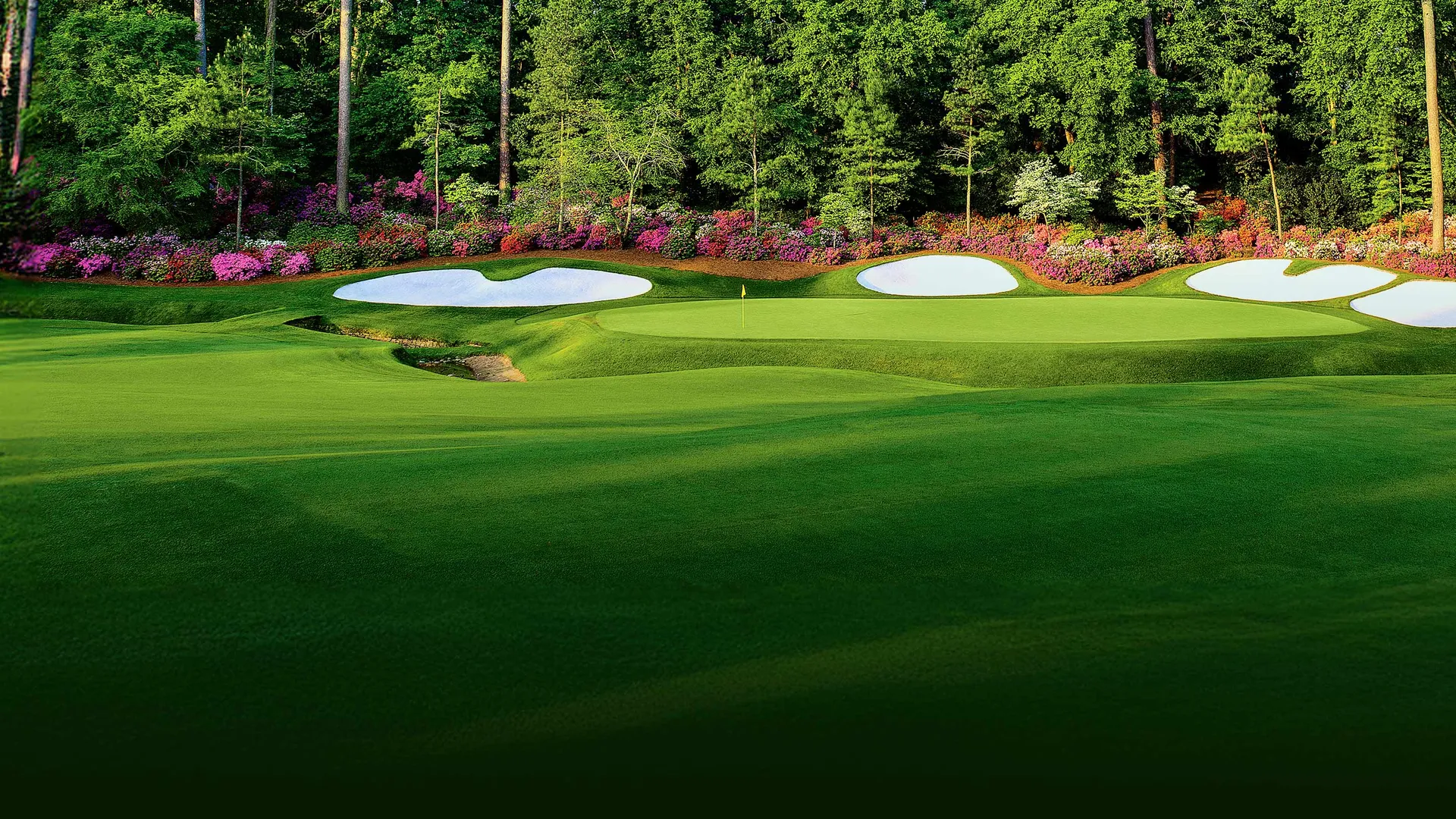 Sports Hub Shows on Paramount Plus