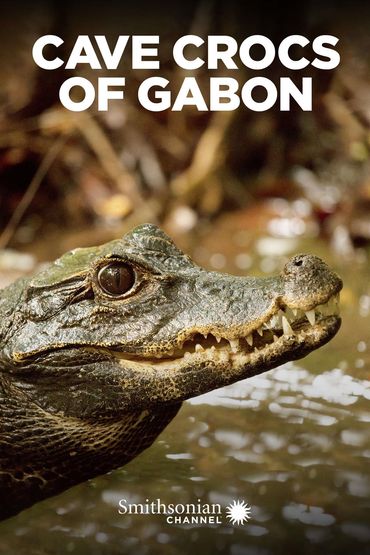 Stream Movies Online with Paramount Plus