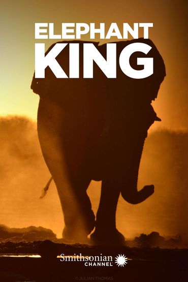 Documentaries on Paramount Plus
