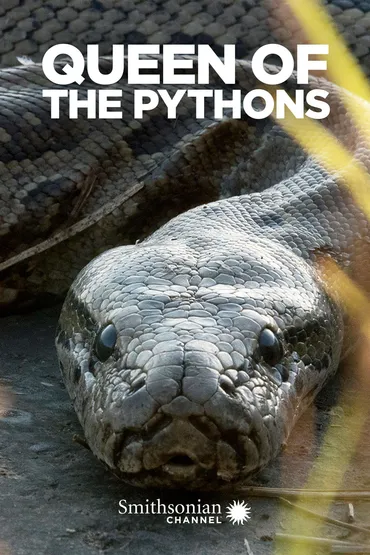 Stream Movies Online with Paramount Plus