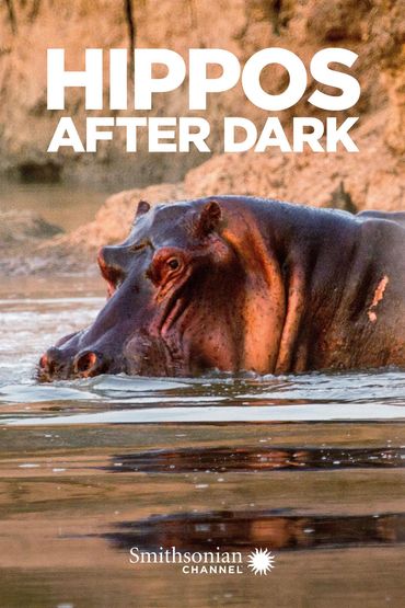 Stream Movies Online with Paramount Plus