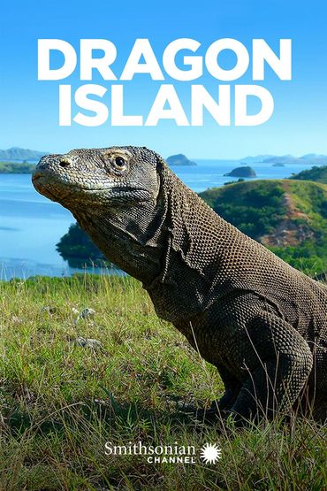 Documentaries on Paramount Plus