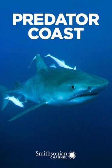 Stream Movies Online with Paramount Plus