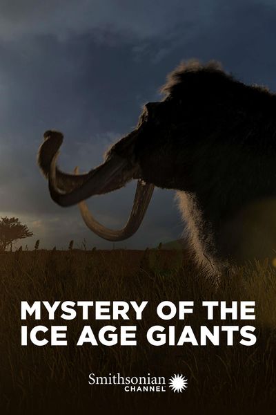 Watch Inside the Factory Season 7 Episode 1: Inside the Factory ...