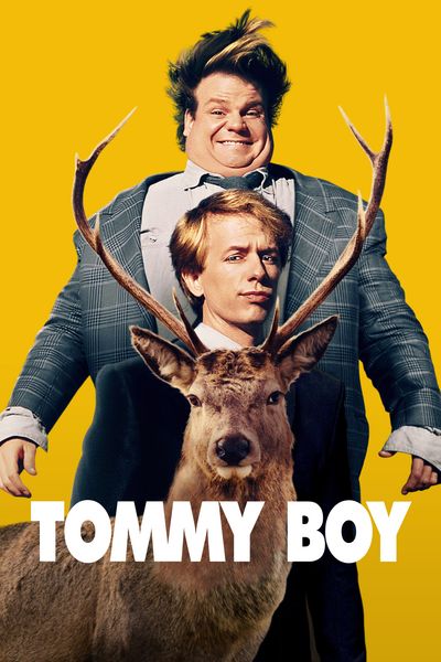 Wildboyz - MTV - Watch on Paramount Plus