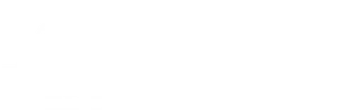 Wildboyz - MTV - Watch on Paramount Plus