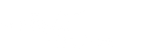 The Patrick Star Show - Nickelodeon - Watch on Paramount Plus